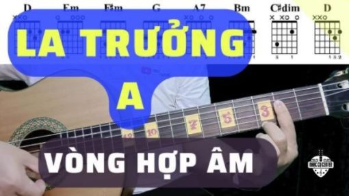 7 vòng hợp âm Guitar cơ bản giúp bạn LÊN TRÌNH
